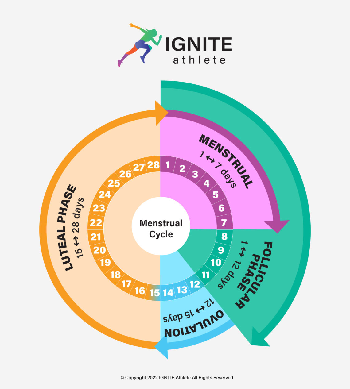 The Menstrual Cycle: What's normal and what's not • Ignite Athlete
